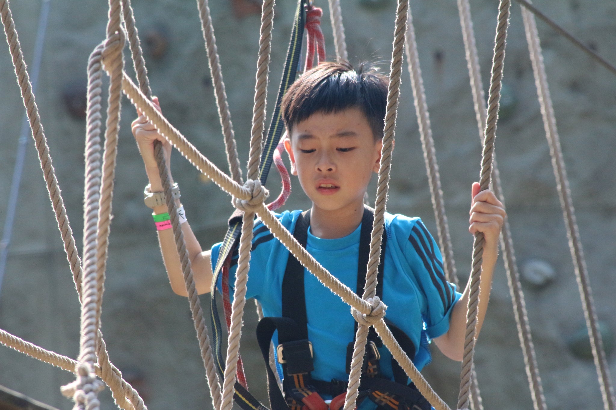 High Elements : Challenge Rope Course - High Achievers